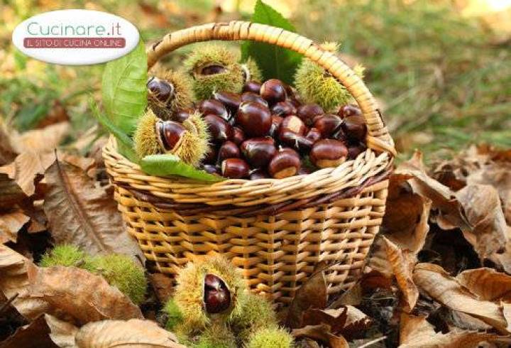 CASTAGNE LESSE BIMBY (Come Cuocere Le Castagne Con Il Bimby) | cucinare.it