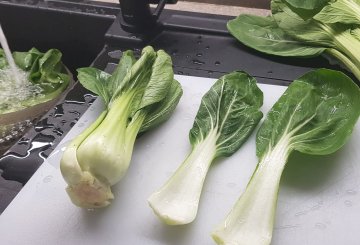 Ricetta Pak Choi In Padella | cucinare.it