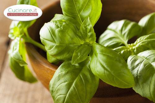 Il Basilico | cucinare.it