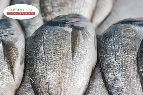 I pesci piu' adatti per i bambini | cucinare.it