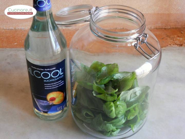 Liquore al basilico | cucinare.it